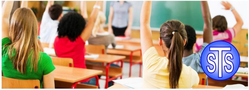 STS background | Success Tutorial School