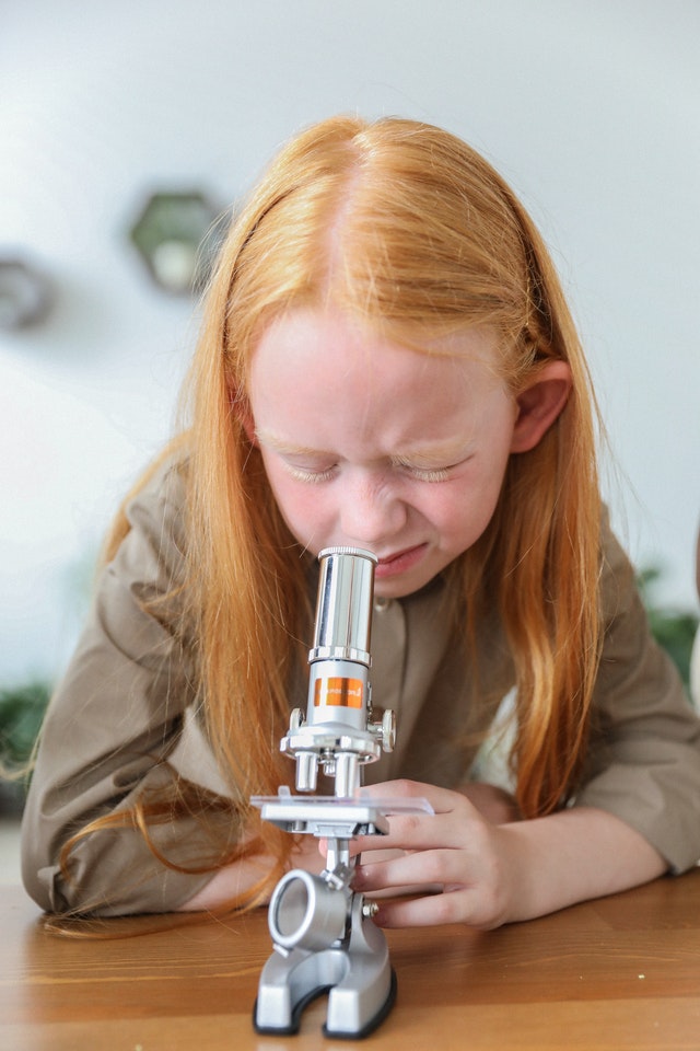 What Do You Learn In Grade 11 Biology In Ontario Success Tutorial School